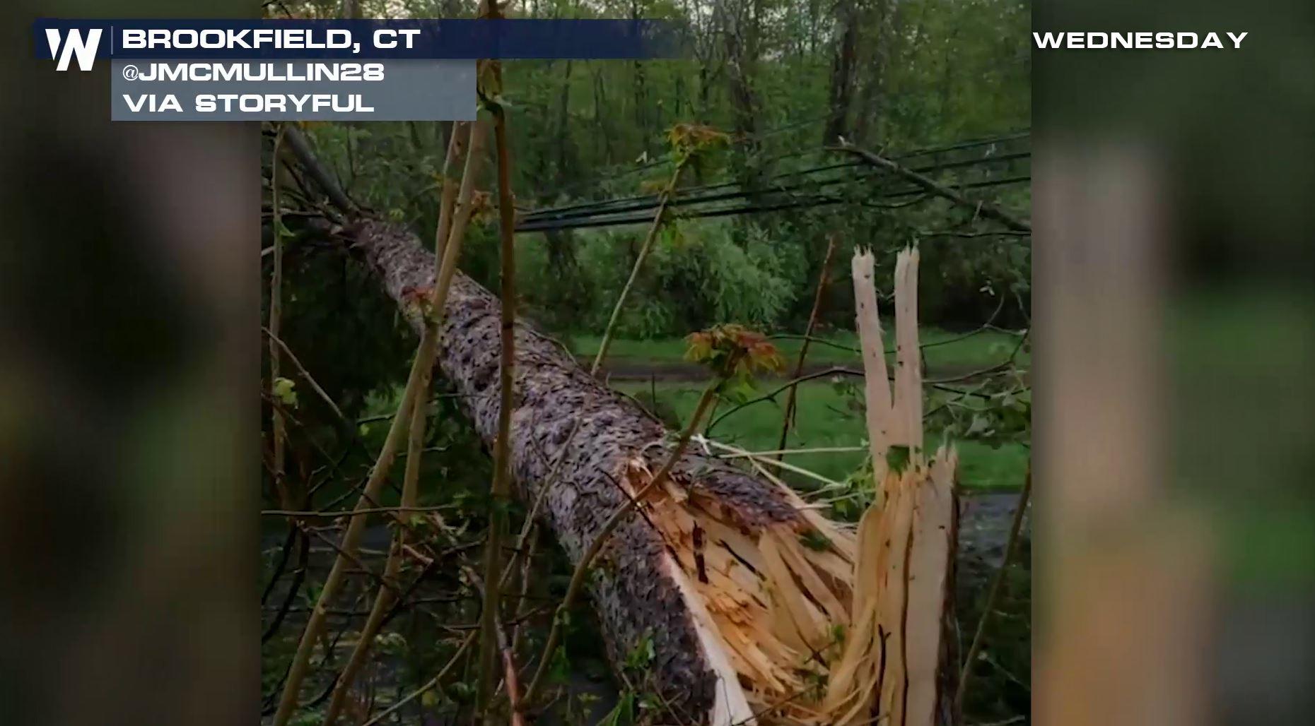 It's Official: We Were Hit by a 'Macroburst' - WeatherNation